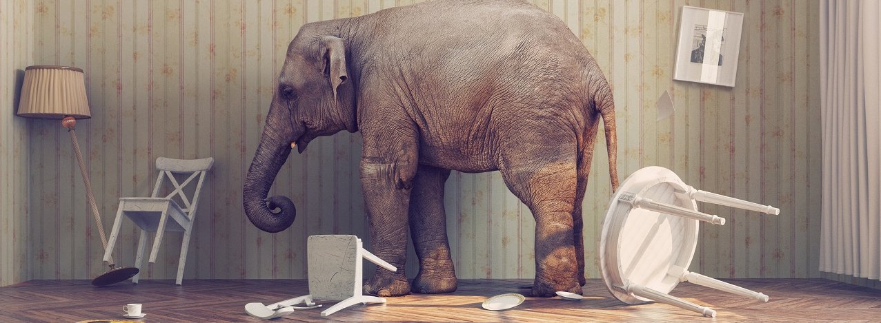 Deutsche Redewendungen und Phrasen - Woher kommt's? | PONS