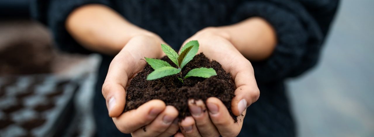 Life oder live? – Was ist der Unterschied? | PONS