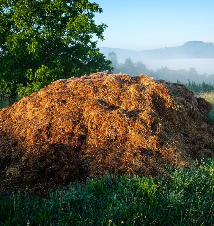 Französische Schimpfwörter – wie geht‘s richtig? | PONS